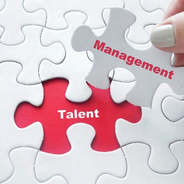 Creating A Top Notch Talent Management Program Great People Solutions